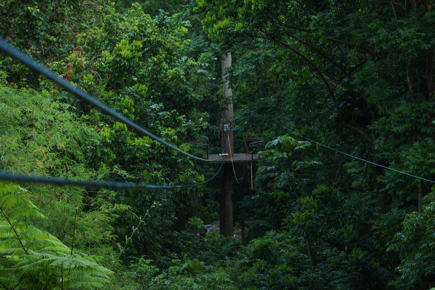 ASAE Research Foundation's CEO Conclave 2024